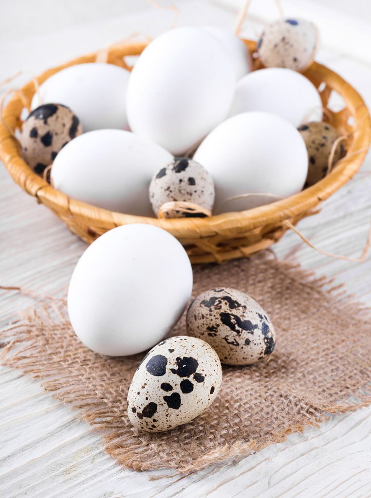 Egg-sotic Eats — Brickell Magazine